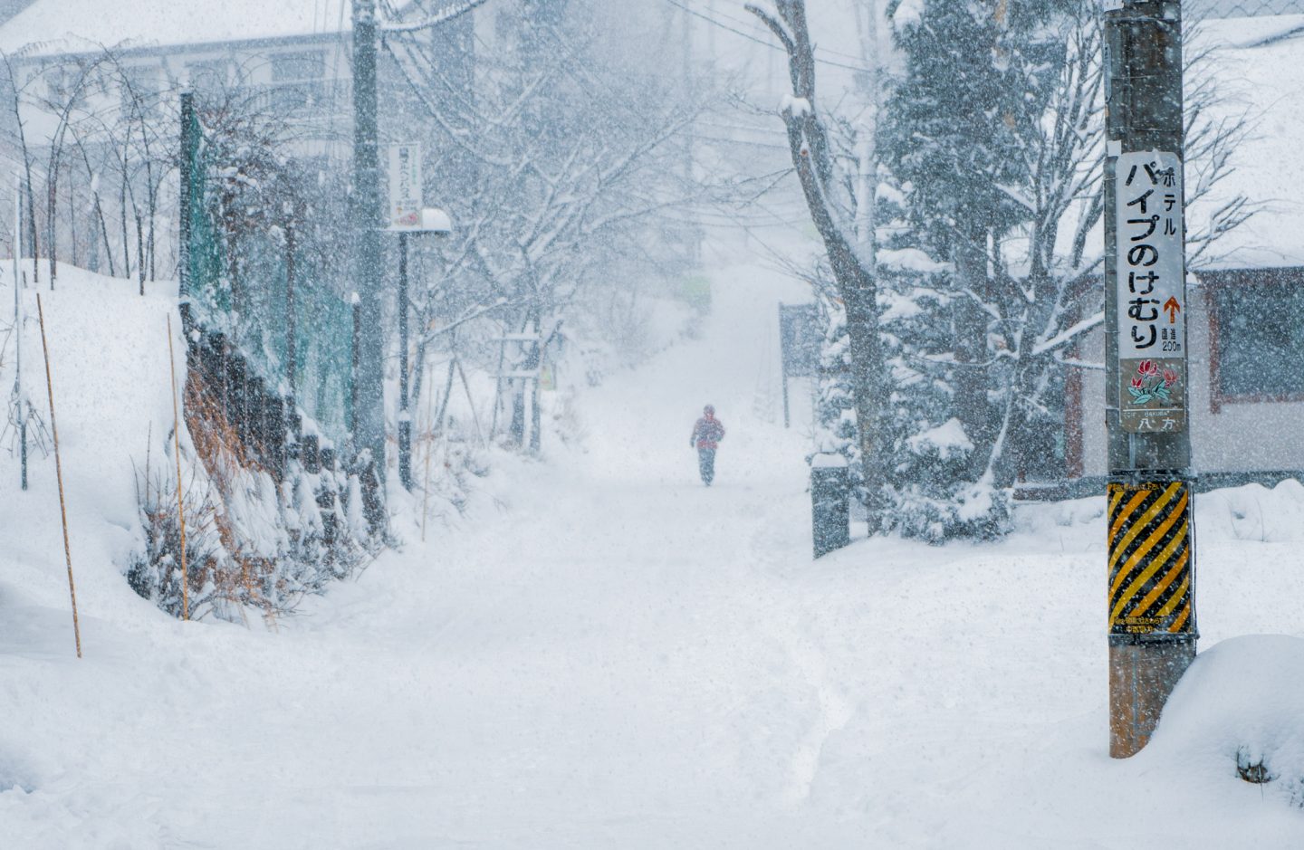 11 reasons to visit Japan in the winter | InsideJapan Tours