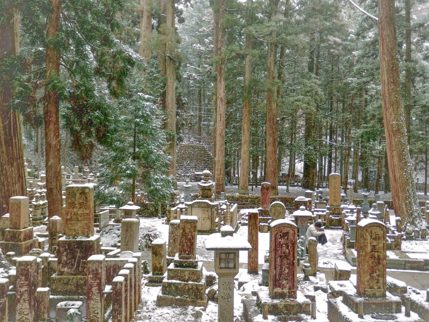 11 reasons to visit Japan in the winter | InsideJapan Tours