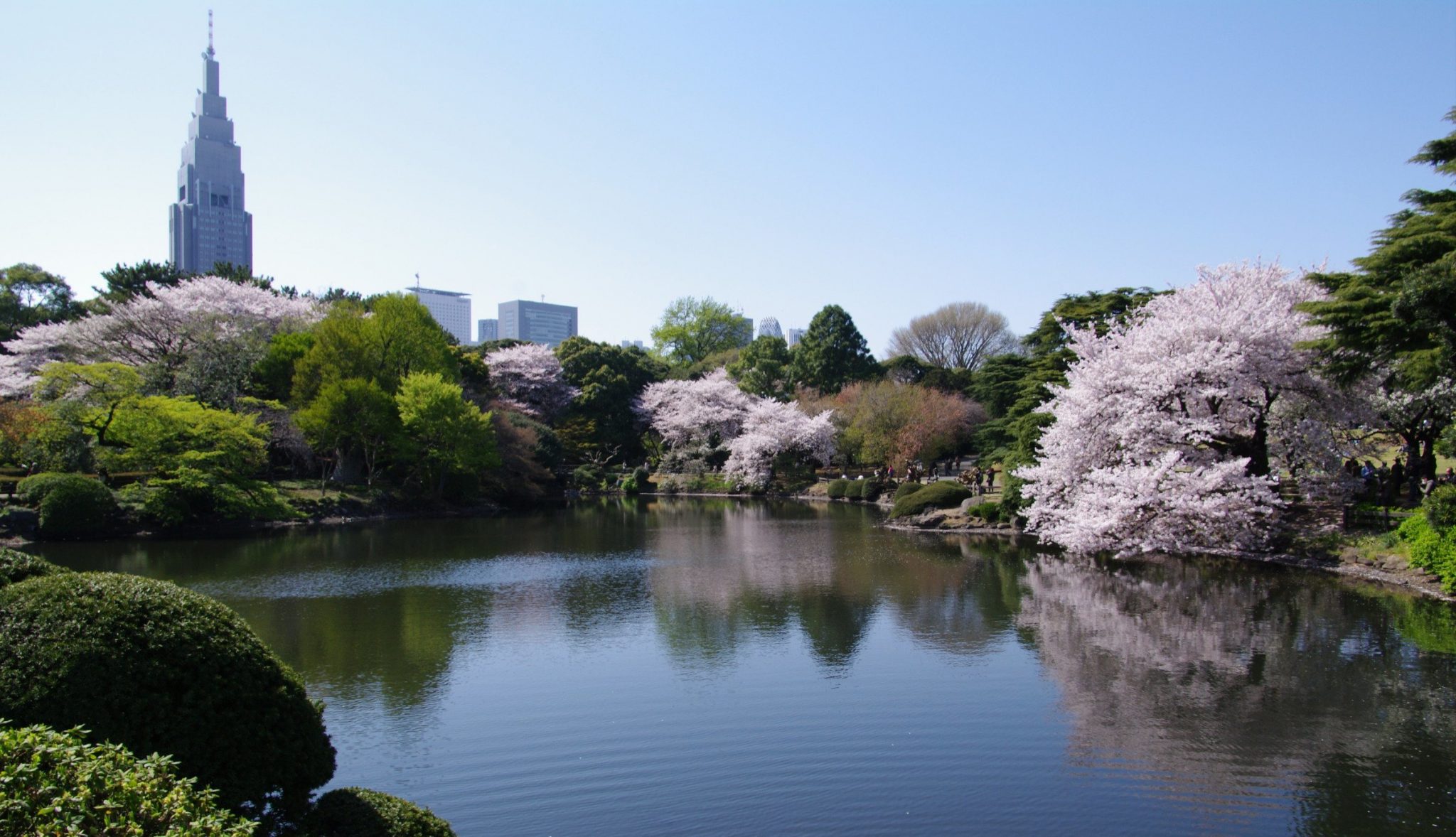 10 best places to see sakura in Japan | InsideJapan Tours