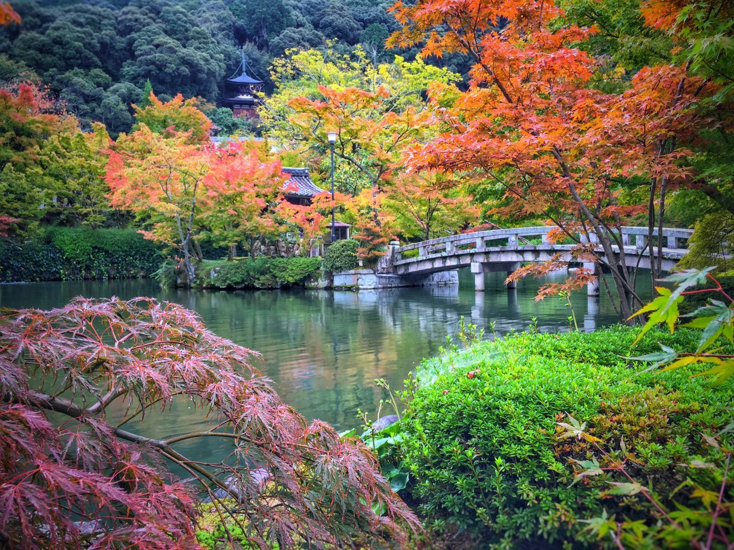 Travelling to Japan with autism: Four top tips - InsideJapan Tours
