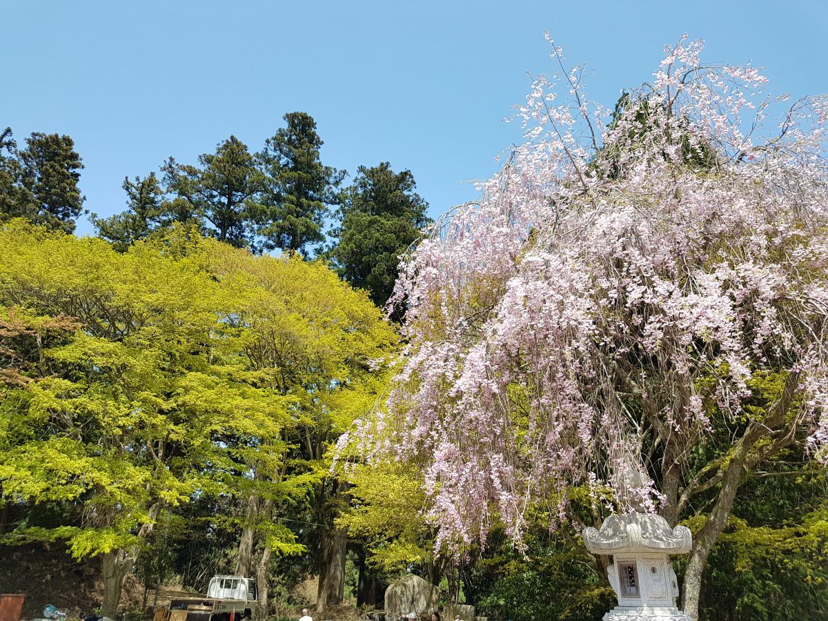 A reluctant walker's hike up Mount Hiei, Kyoto - InsideJapan Tours