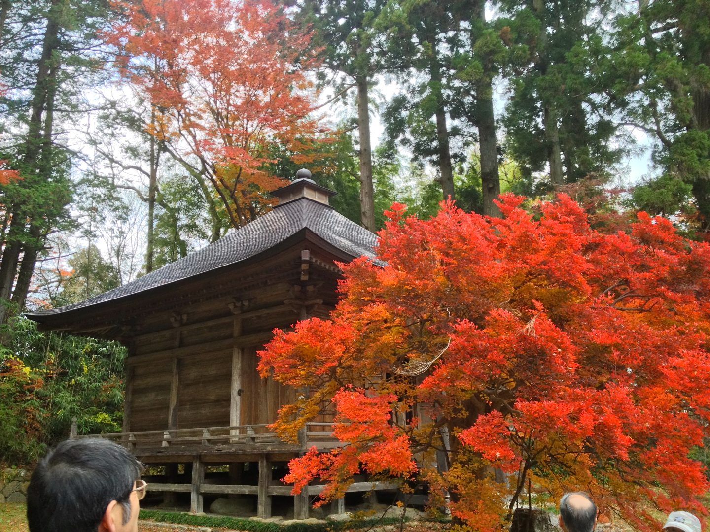 5 reasons to go to Sendai, Tohoku | InsideJapan Blog