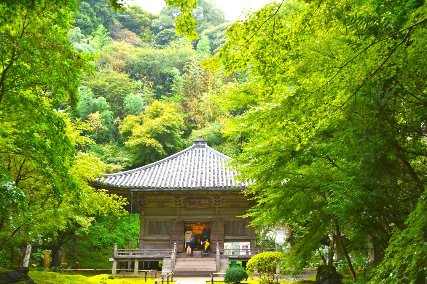 A Northern Soul: The best of northern Japan - InsideJapan Tours