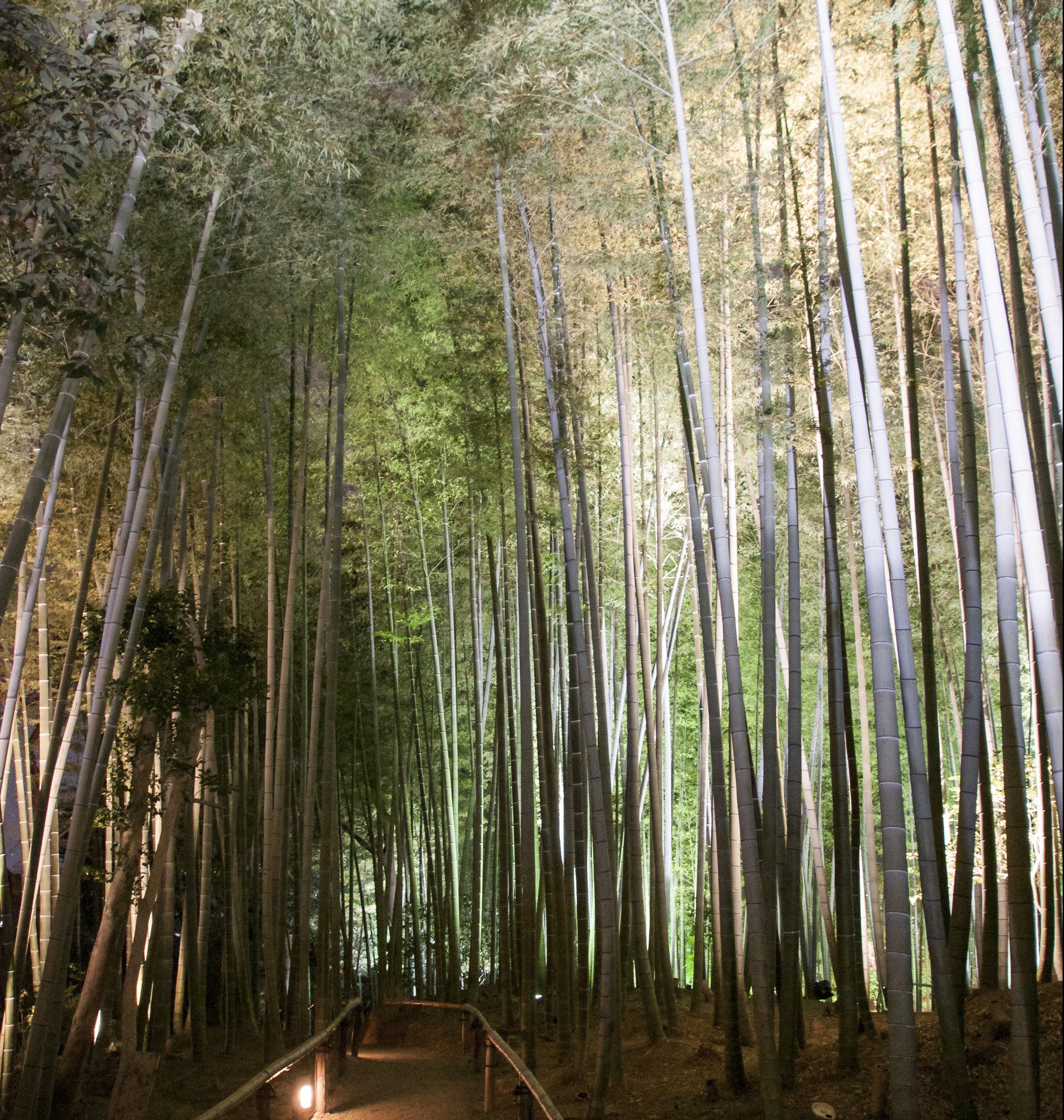 6 of the Best Winter Festivals in Japan | InsideJapan Blog