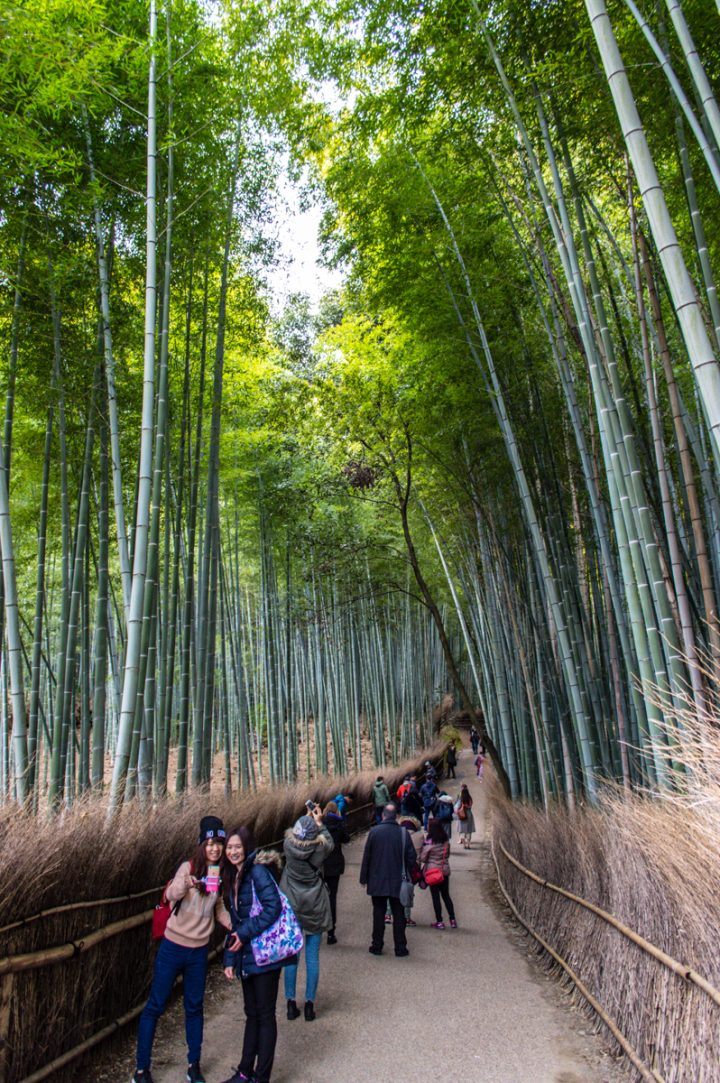 Here's what it's like to travel to Japan in October | InsideJapan Tours