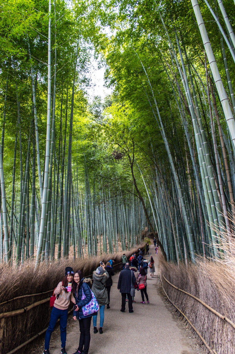 Here's what it's like to travel to Japan in October | InsideJapan Tours