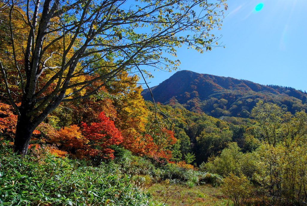 Here's what it's like to travel to Japan in October | InsideJapan Tours