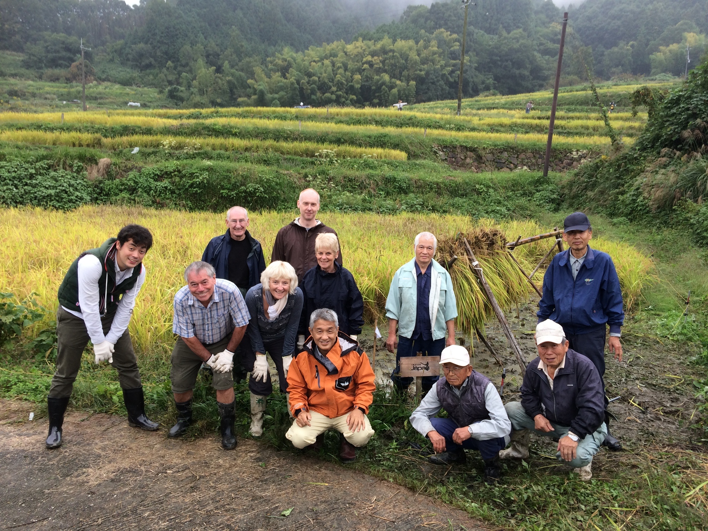 Helping with the rice harvest in Japan | InsideJapan Tours