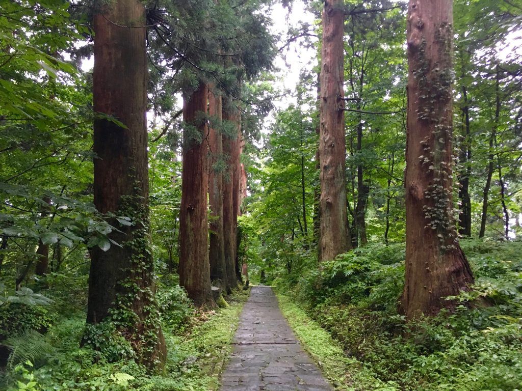 Hiking in Japan: The way of the Yamabushi - InsideJapan Tours