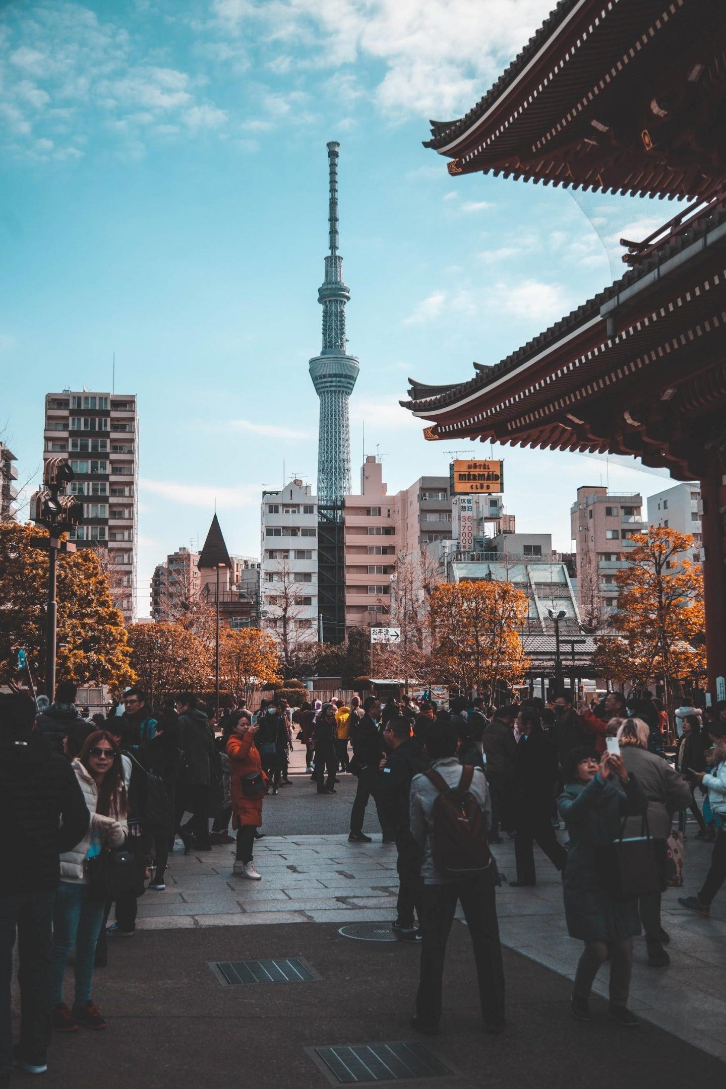 A photographer's diary of Japan | InsideJapan Blog