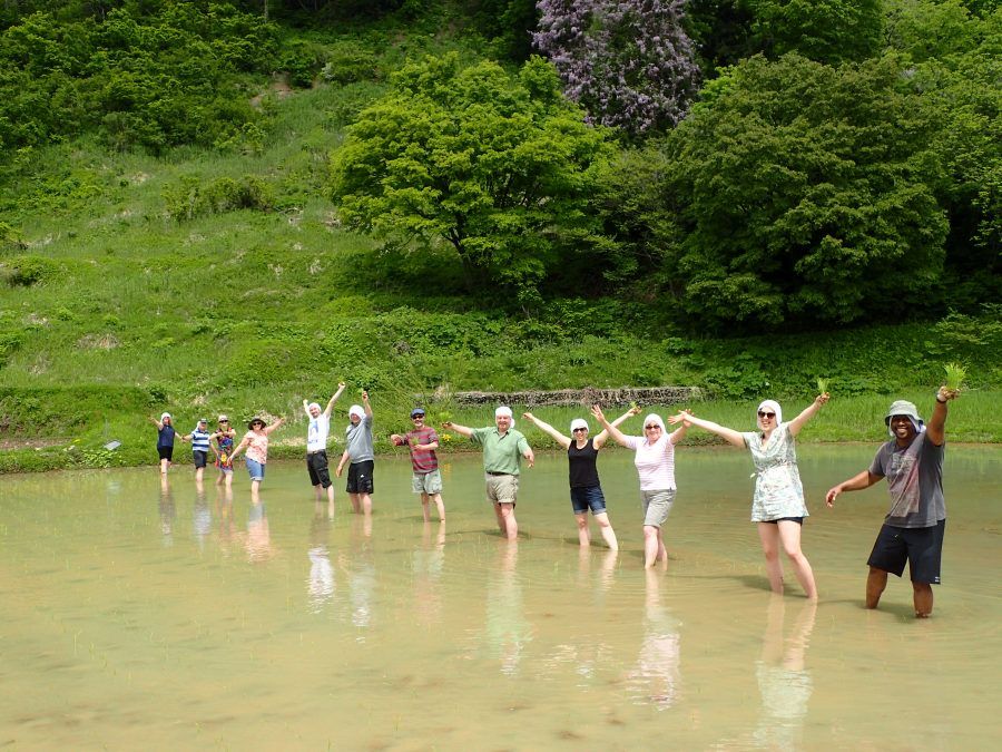 10 of the best experiences and activities in Japan | InsideJapan Blog