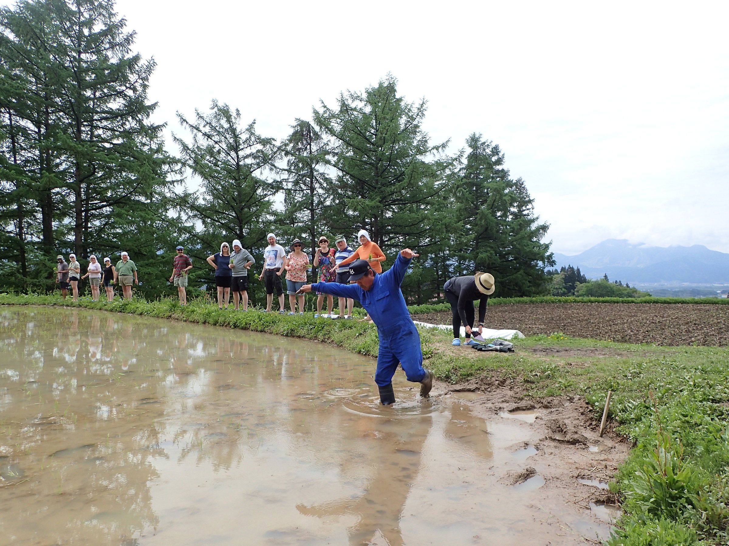 10 of the best experiences and activities in Japan | InsideJapan Blog