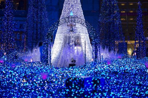 Japan in December: 10 reasons to go | InsideJapan Blog