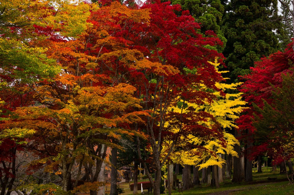 Autumn in Tohoku, Japan: A photo blog | InsideJapan Blog