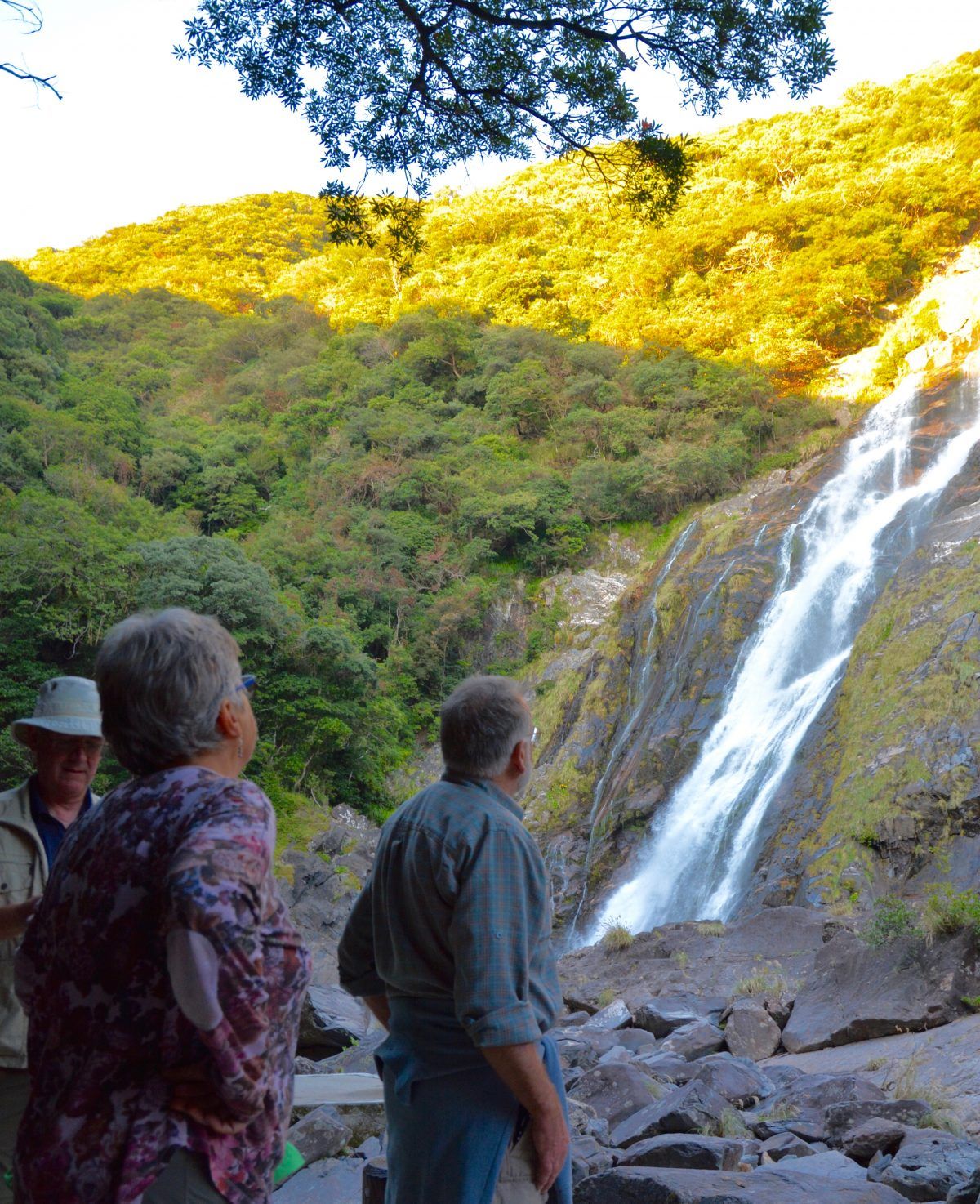 Autumn in Kyushu: Mount Aso, Yakushima & more | InsideJapan Blog