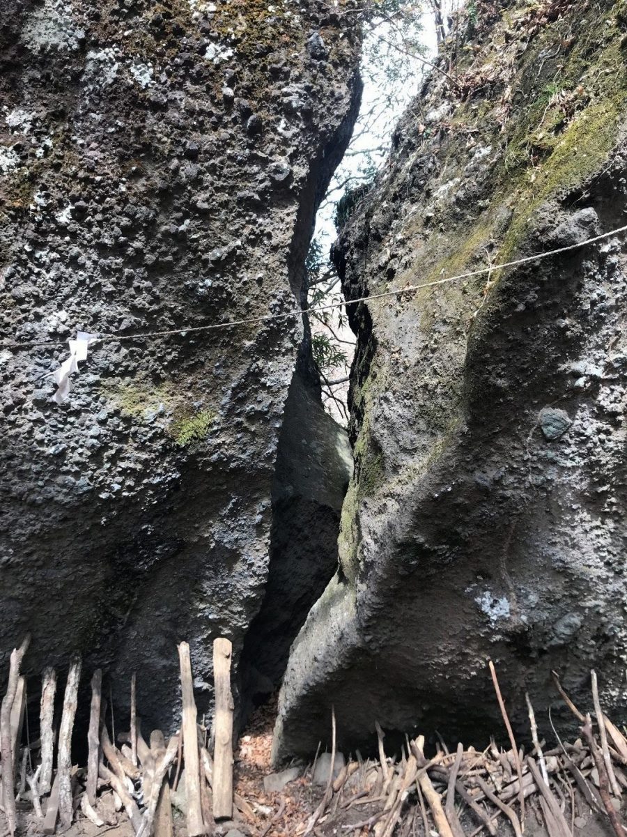 Hiking in Japan: Mount Kintoki (Mount Ashigara) | InsideJapan Tours