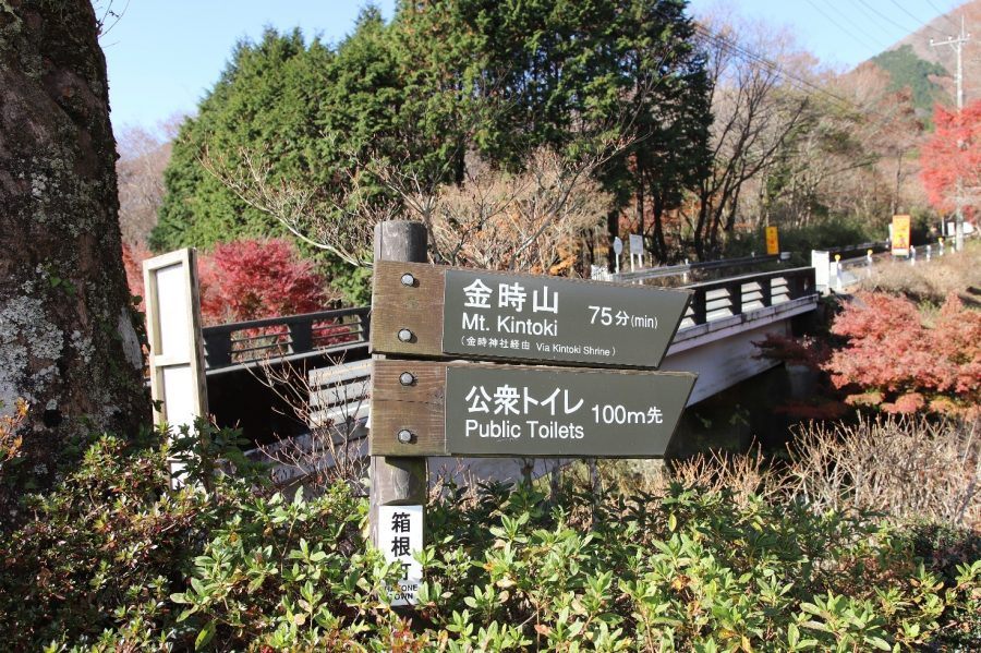 Hiking in Japan: Mount Kintoki (Mount Ashigara) | InsideJapan Tours