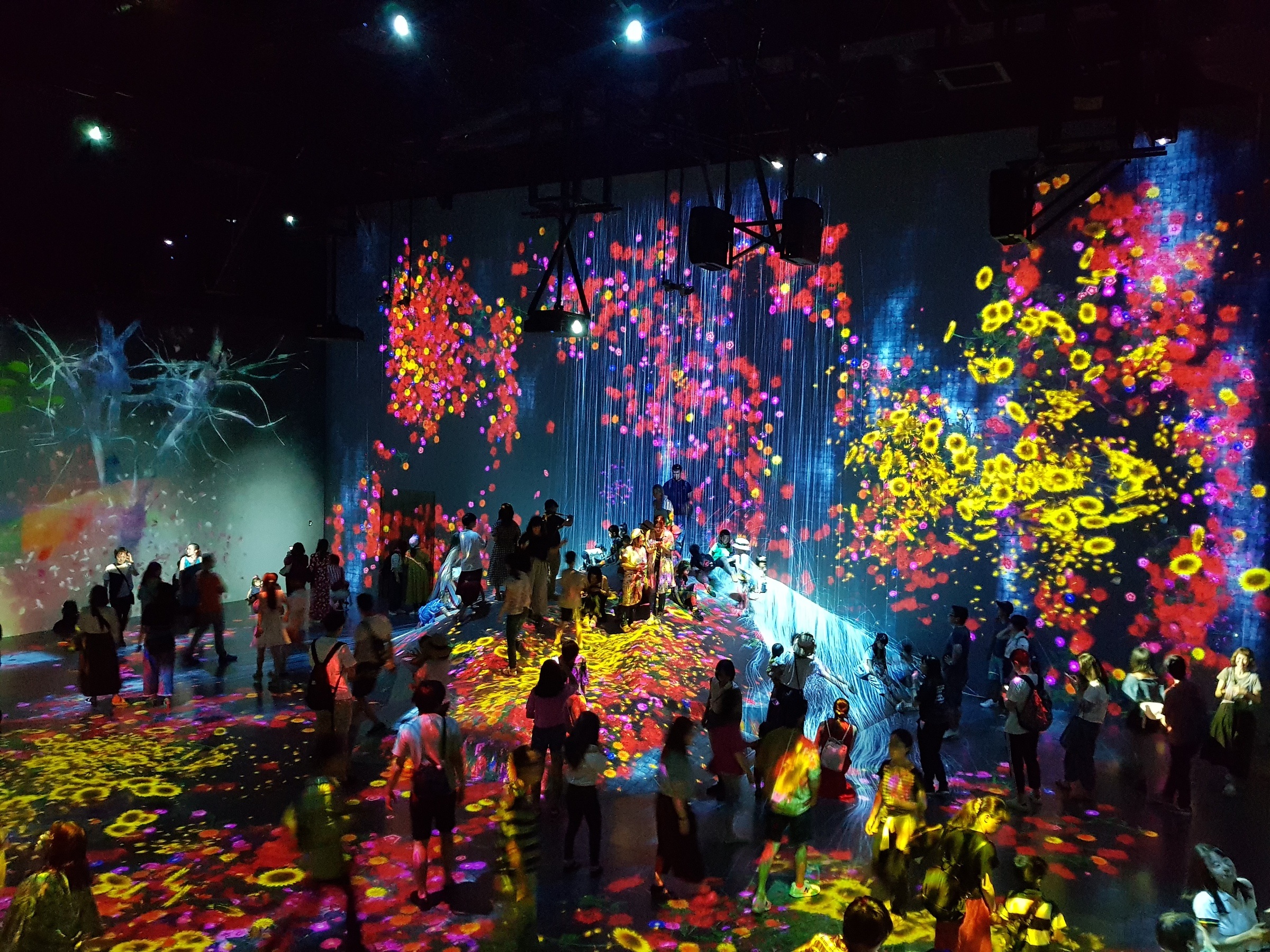 Exploring Tokyo’s teamLab Borderless Digital Art Museum