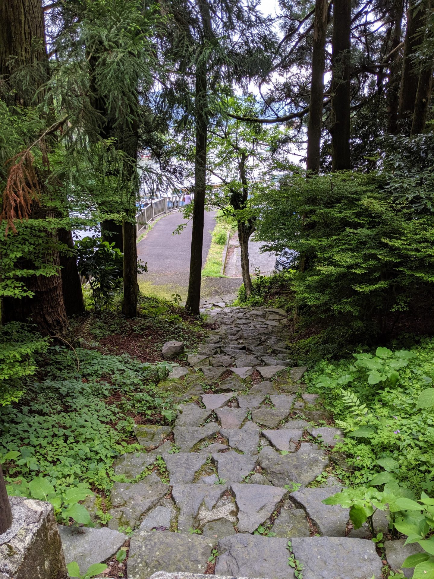 How to see Hakone when the ropeway is closed | InsideJapan Blog