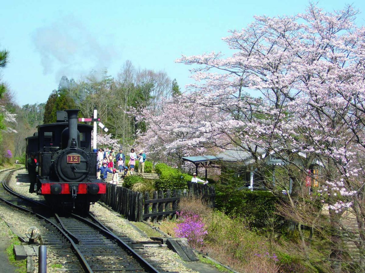 20 Reasons to Visit Japan in 2020 Part Four: Spring | InsideJapan
