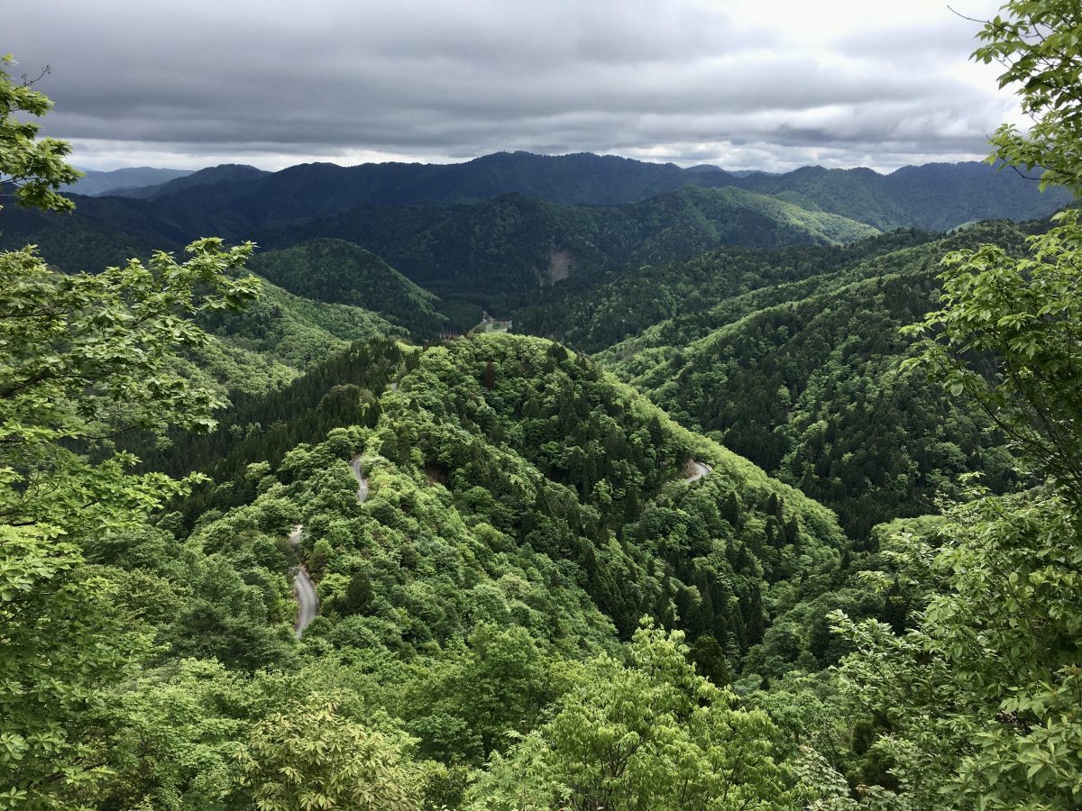 Discover the wild heard of Japan | InsideJapan Tours