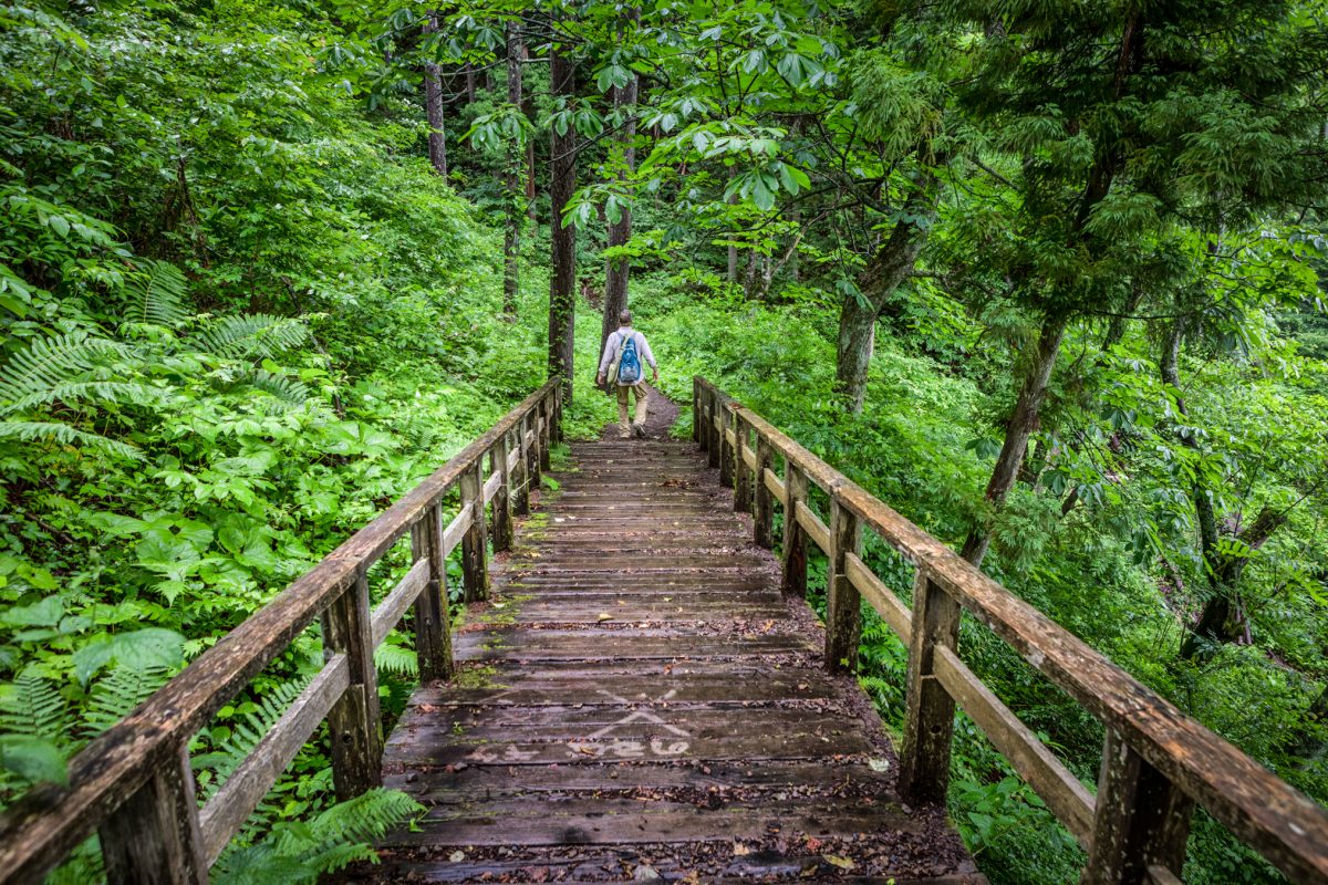 The best alternative experiences in Japan | InsideJapan Tours