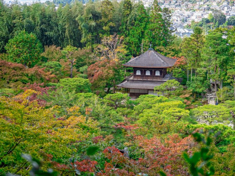 Choosing between the major cities in Japan | InsideJapan Tours