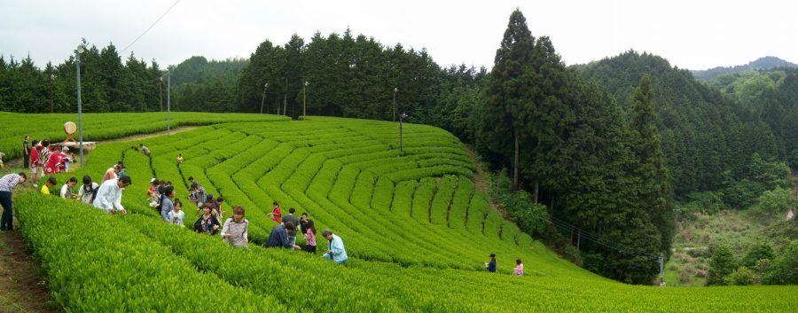 8 Japanese food and drink experiences you’ll never forget | InsideJapan ...