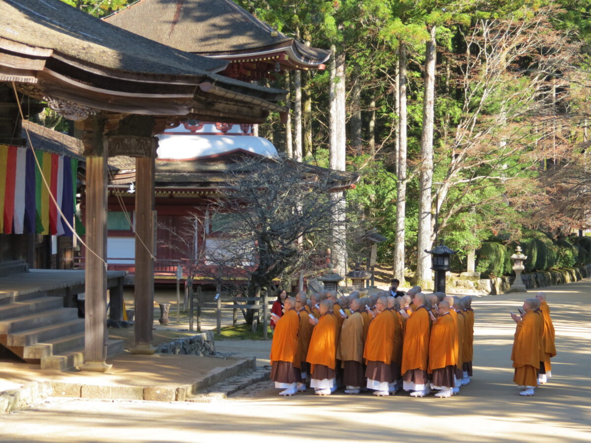 How to Japan in the Year of the Rabbit | InsideJapan Tours