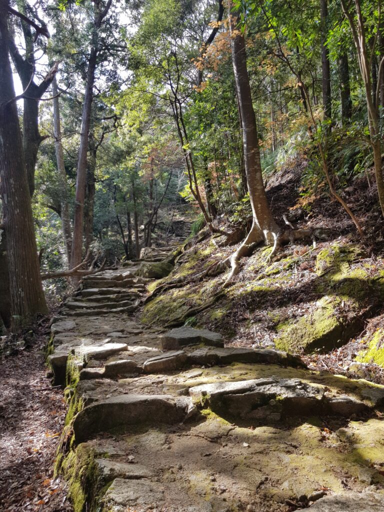 Hiking in winter in Japan | InsideJapan Tours